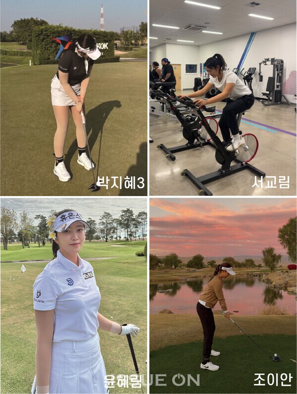 [골프 소식] 2025 KLPGA투어 루키 소개(2편)